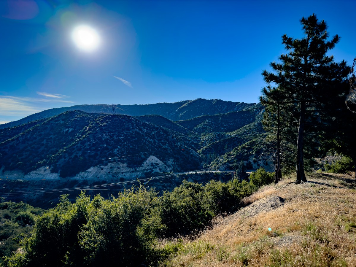 Who Is Going To Lead? – Elpis and Shalom